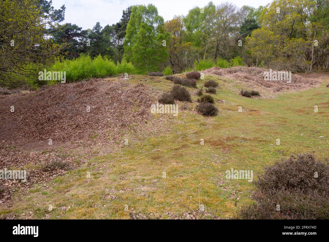 Mound possible neolithic long barrow more likely medieval rabbit warren ...