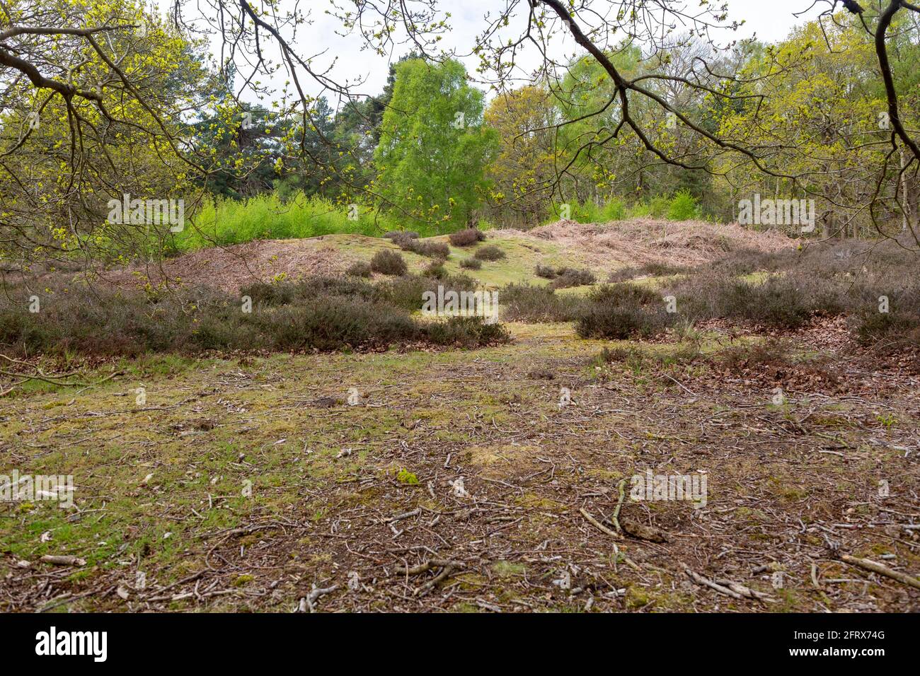 Mound possible neolithic long barrow more likely medieval rabbit warren ...