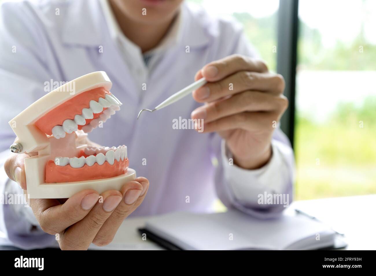 dentist work on the table with Denture and teeth x-ray paper for mouth ...
