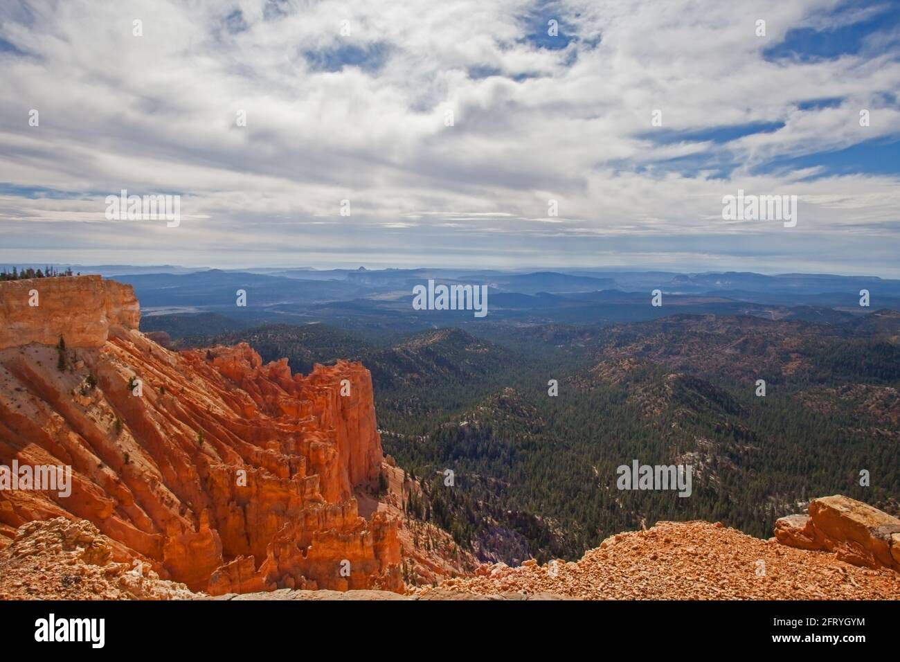 2393 hi-res stock photography and images - Alamy