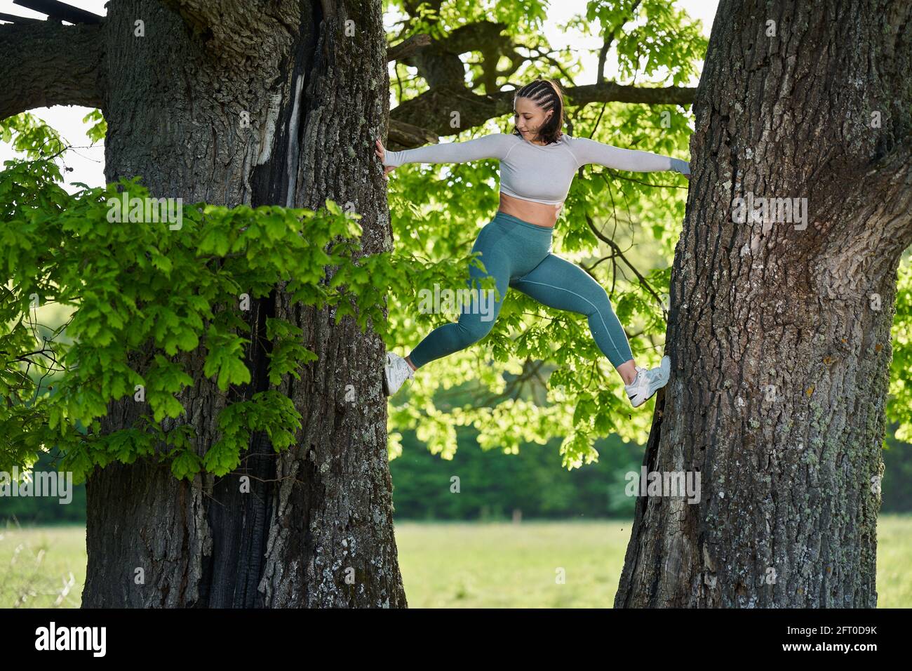 Size plus young woman climbing in an oak tree Stock Photo - Alamy