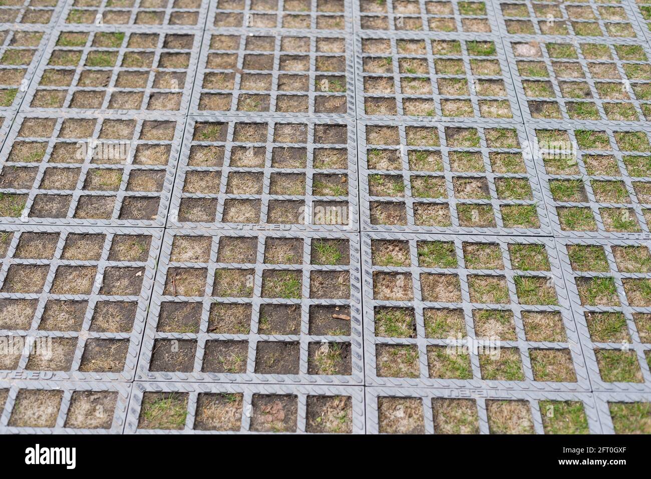 Square concrete and Square grass. sidewalk lawn Stock Photo - Alamy