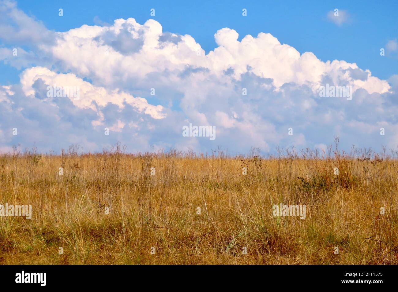 African savanna rain clouds hi-res stock photography and images - Alamy
