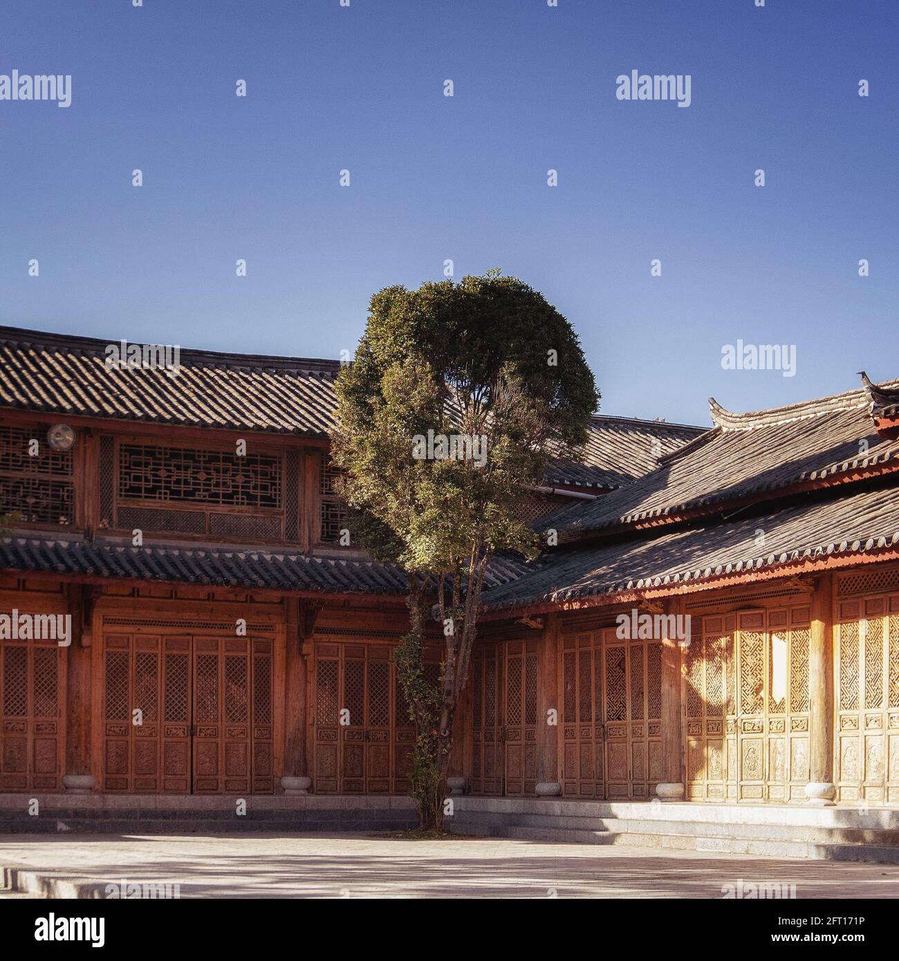 Beautiful Chinese buildings with a green tree under a blue sky Stock ...
