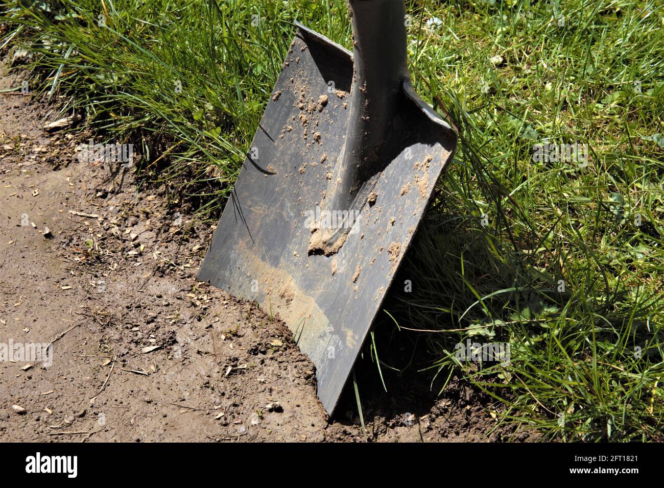 Shovel In Grass