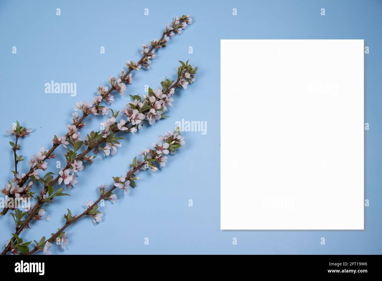 Abstract blue letterhead design template hi-res stock photography and ...