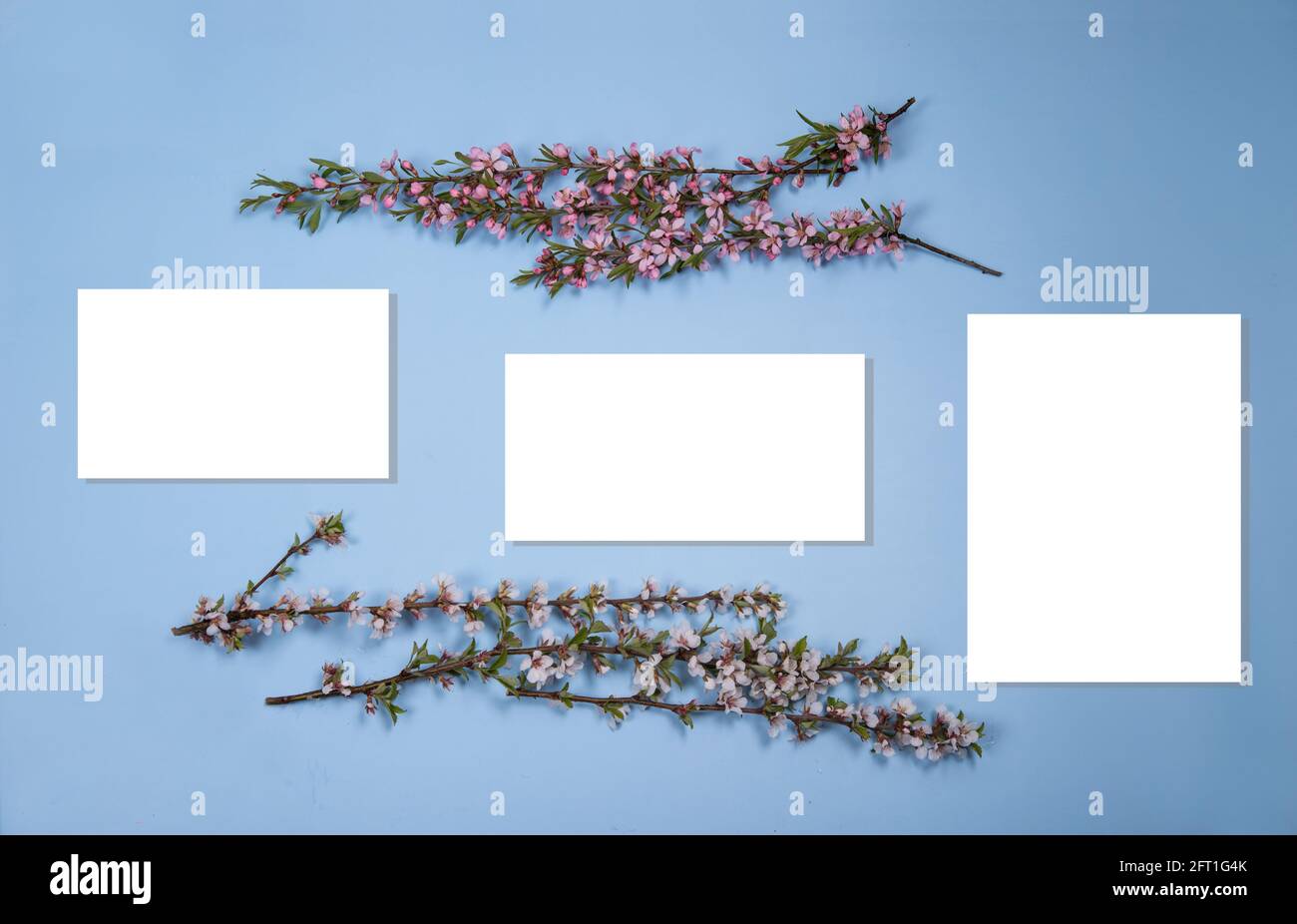 Three sheets each sheet hi-res stock photography and images - Alamy