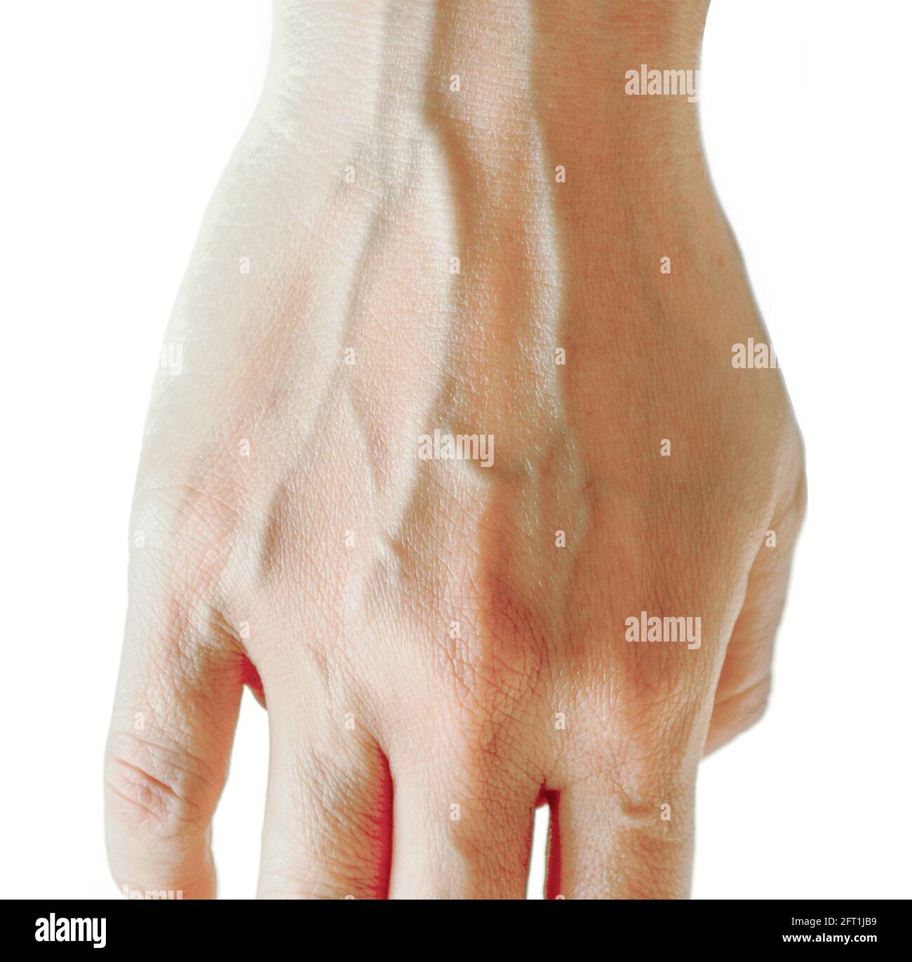 blood veins on white background Stock Photo - Alamy