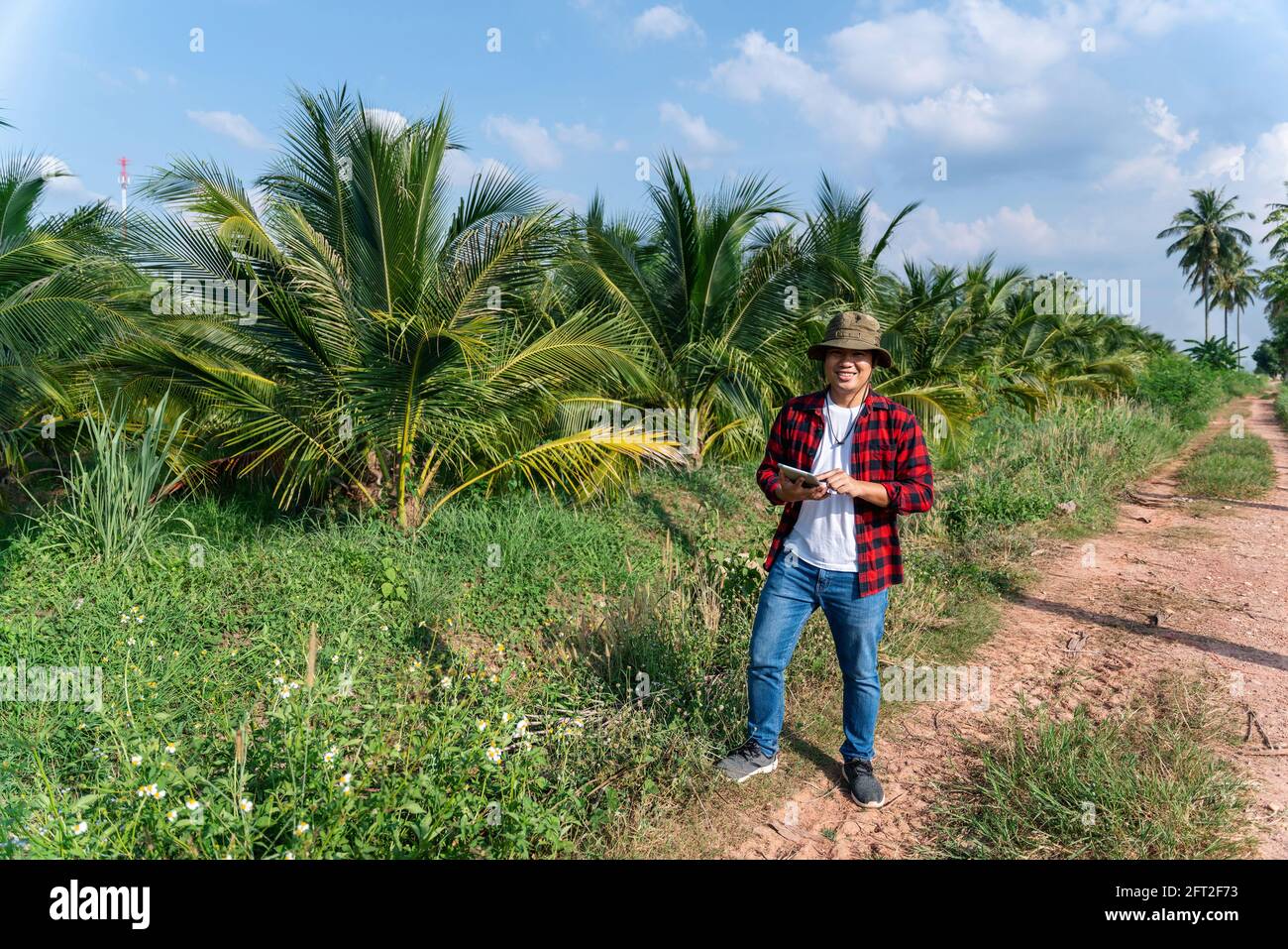 Asian Farmer in a coconut plantation, Coconut palm trees for Coconut ...