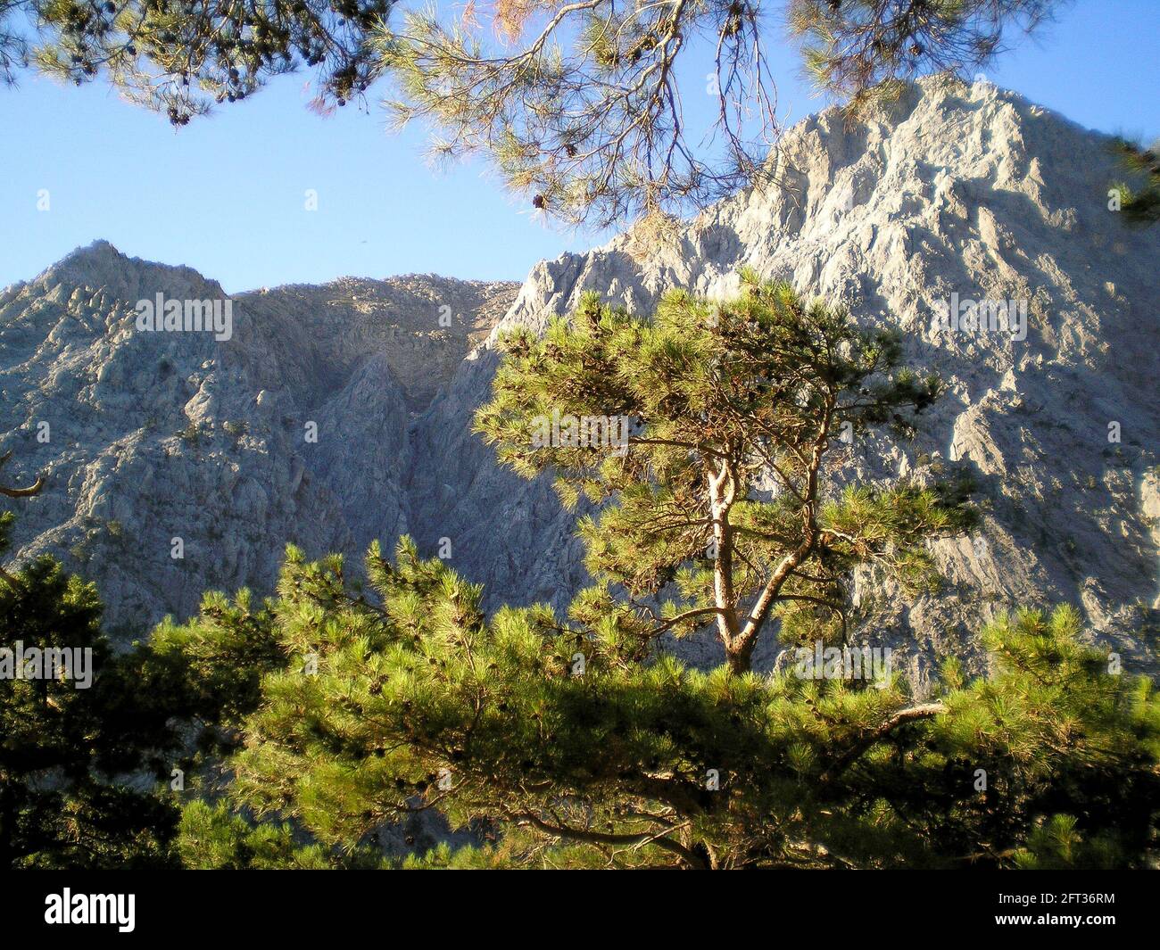 Gorge of Samaria, Crete, Greece Stock Photo - Alamy