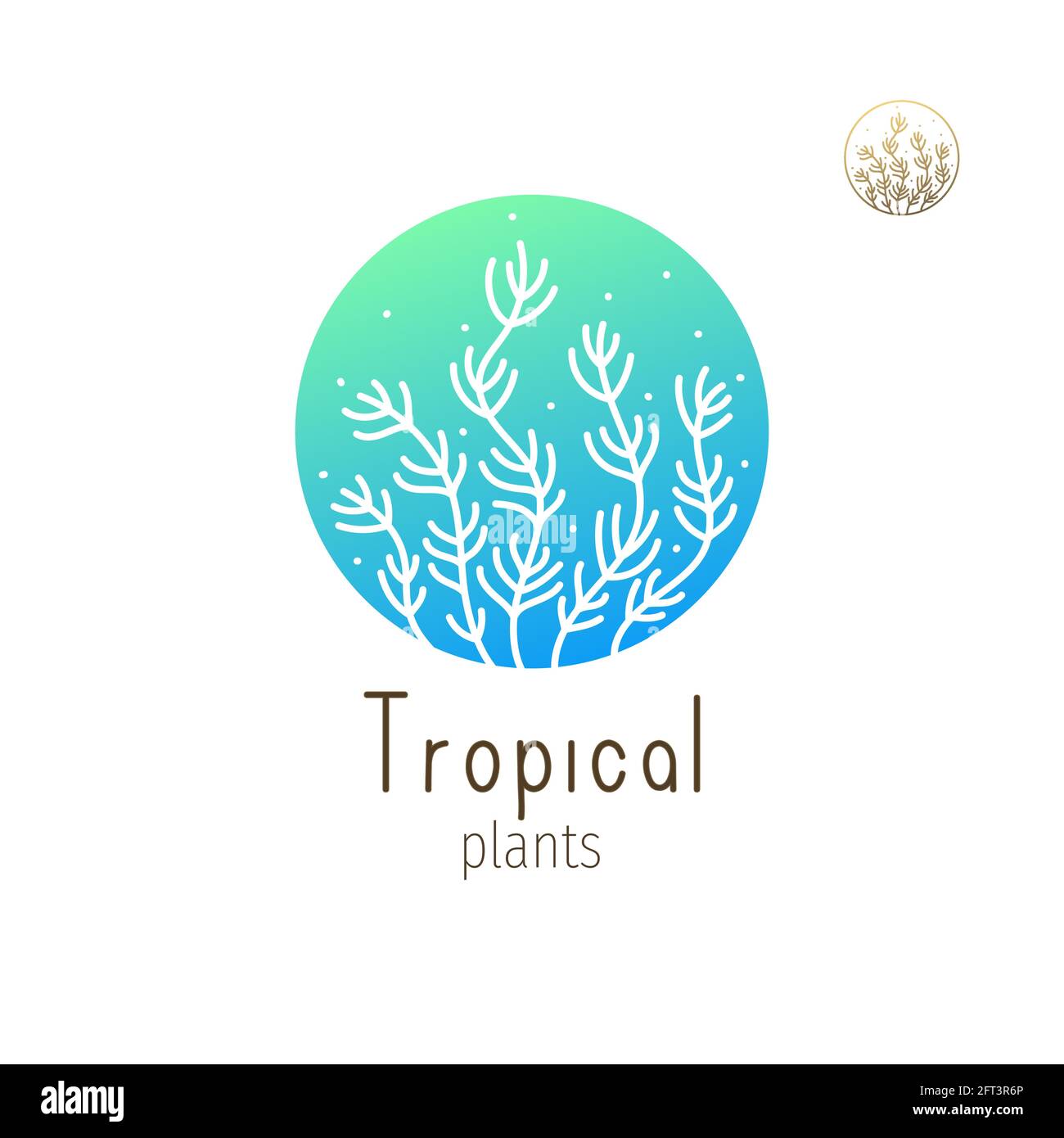 Tropical exotic drink palm Stock Vector Images - Alamy