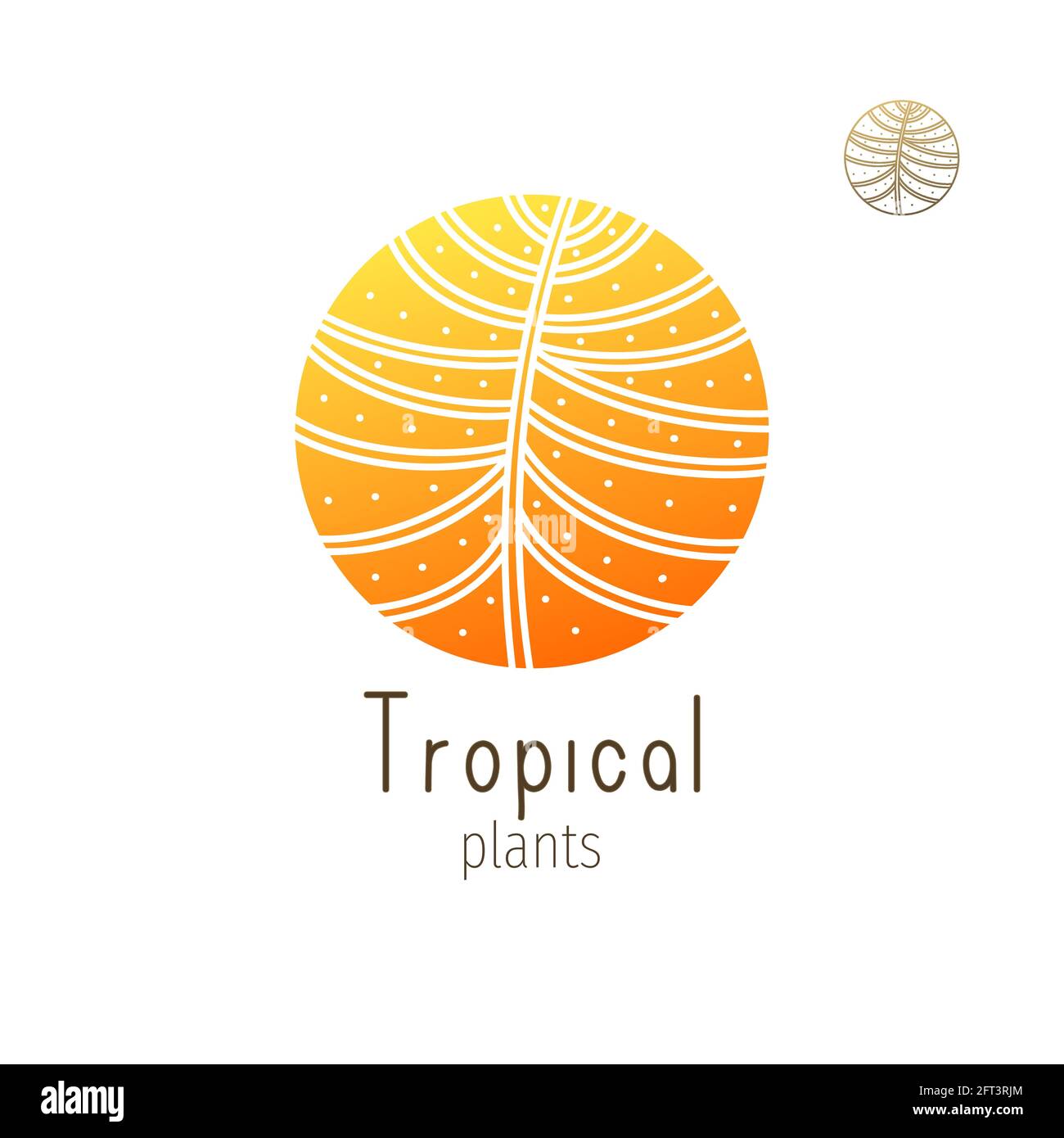 Tropical jungle logo Stock Vector Image & Art - Alamy