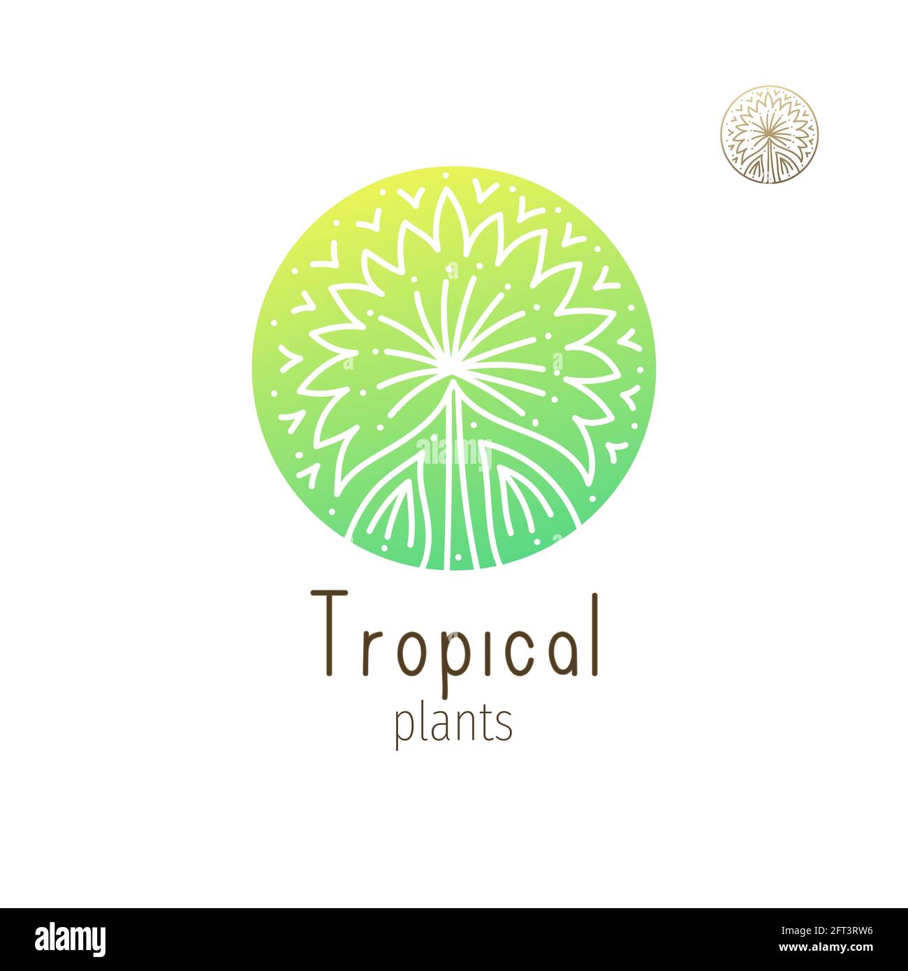 Tropical jungle logo Stock Vector Image & Art - Alamy