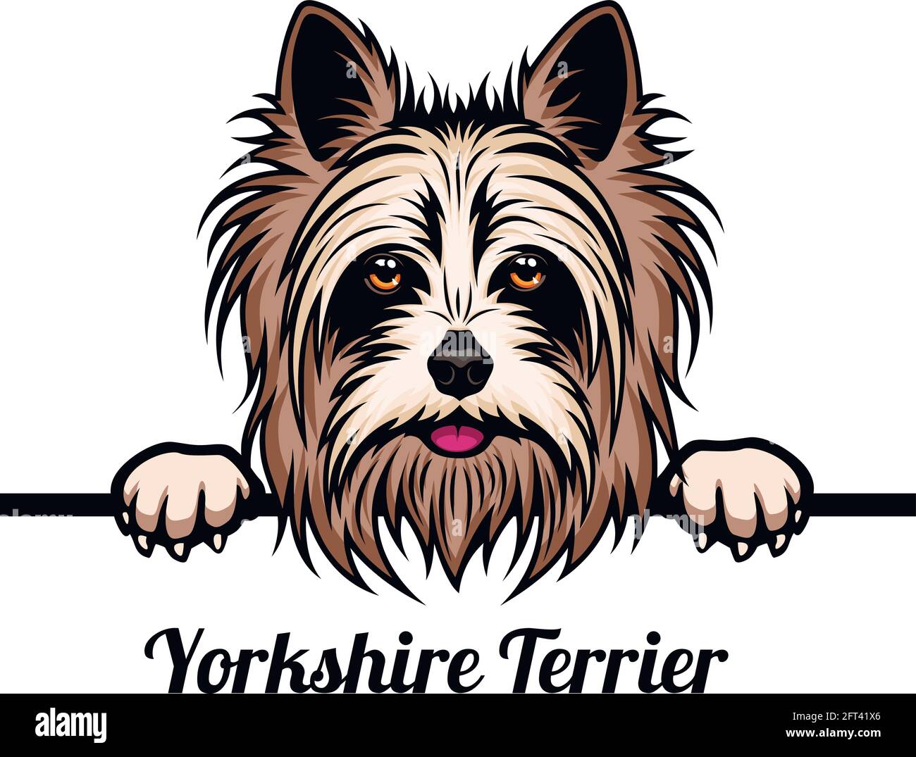 Cartoon illustration cute yorkshire terrier hi-res stock photography ...