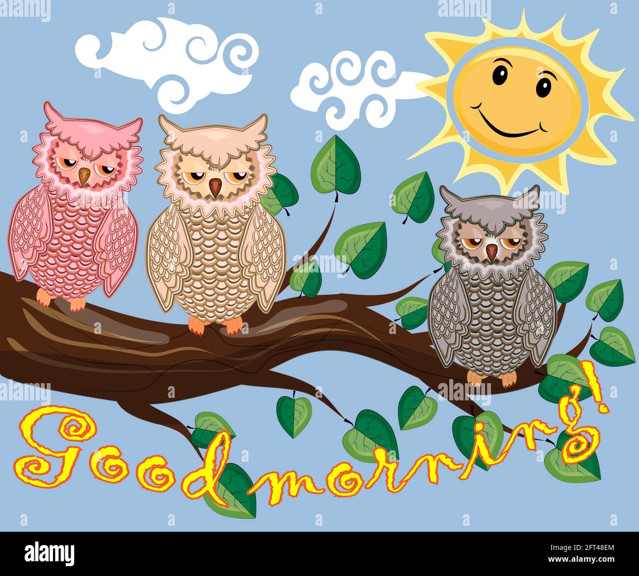 An unhappy, sleepy owl on a tree branch in the morning, the sun shines ...