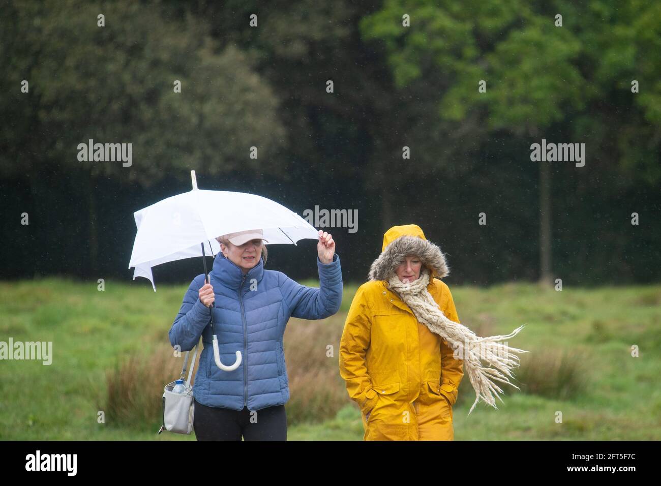 Wet weather london 2021 hi-res stock photography and images - Alamy