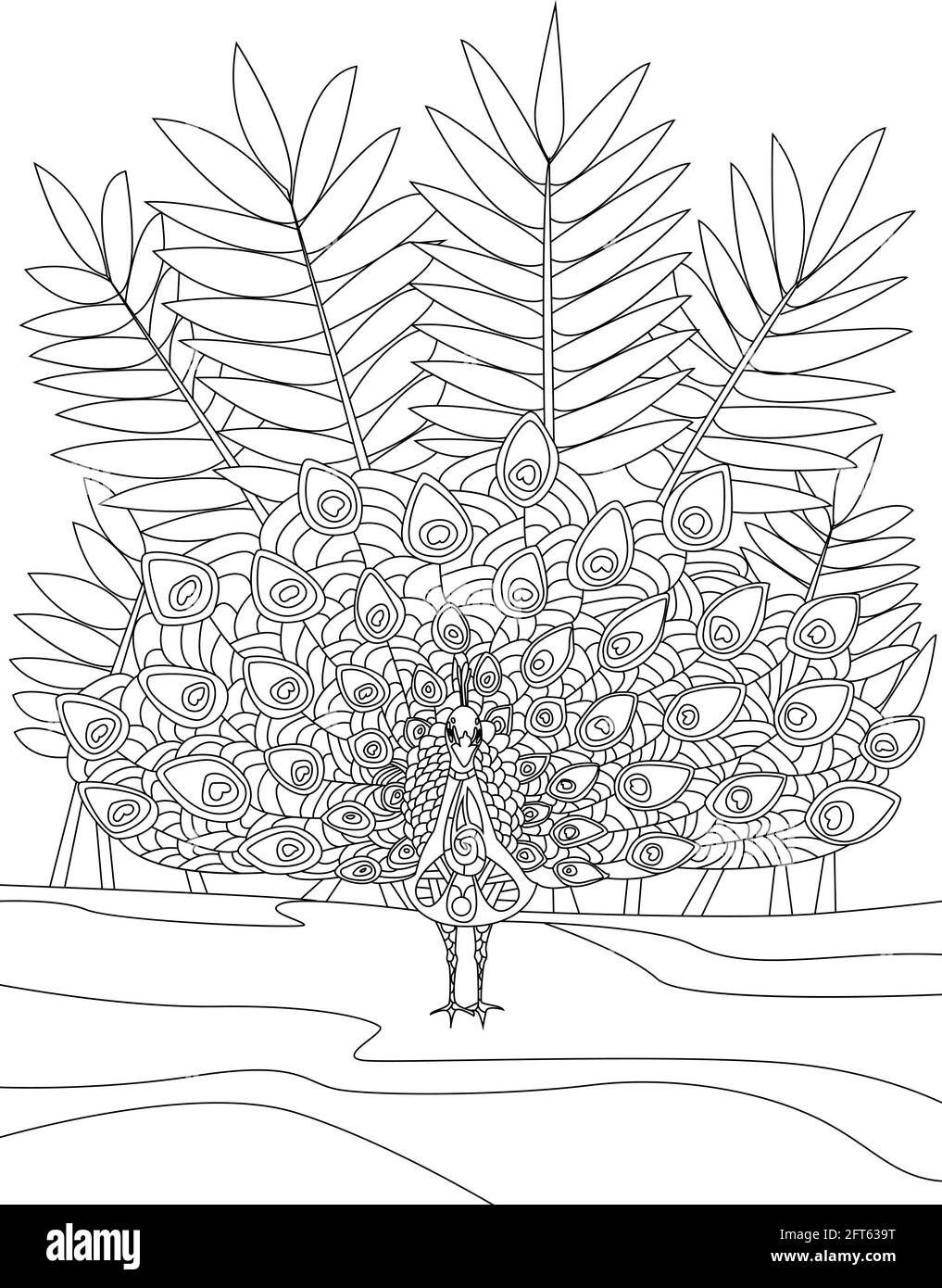 Tropical Birds Doodles On Trees, Hand Drawing Pelican, Line Image ...