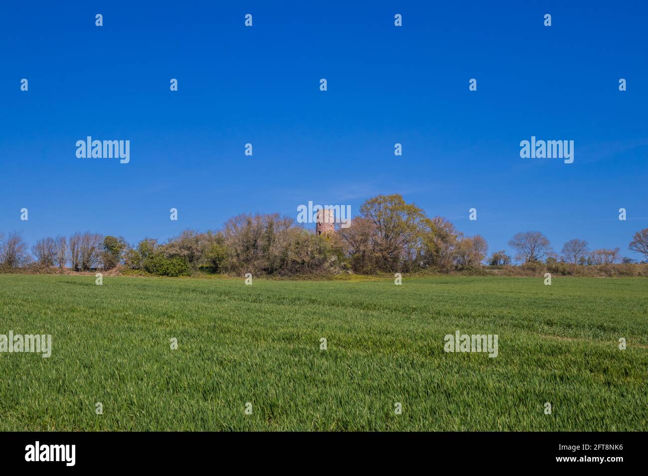Racton monument hi-res stock photography and images - Alamy