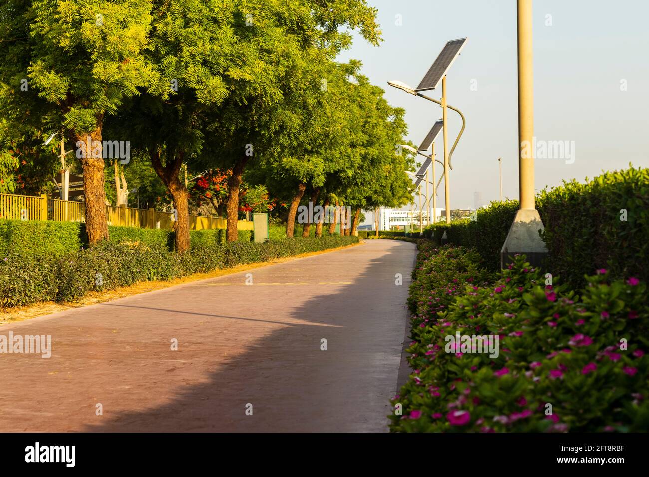 Dubai, UAE - 05.21.2021 - Jogging track in Nad Al Hamar park, early in ...