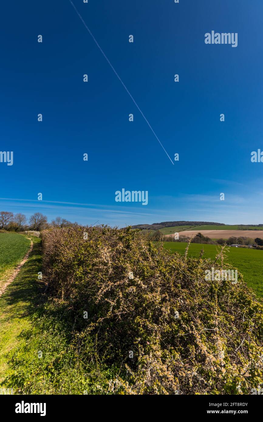 Racton ruins, hi-res stock photography and images - Alamy