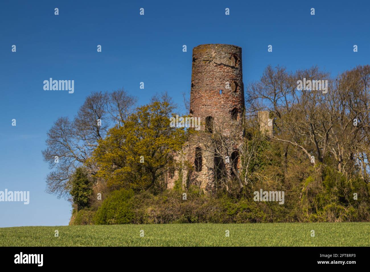Folly tower racton ruin hi-res stock photography and images - Alamy