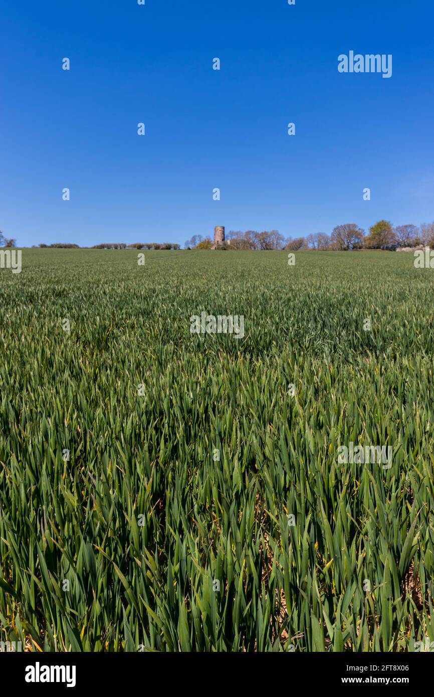 Racton ruins monument hi-res stock photography and images - Alamy
