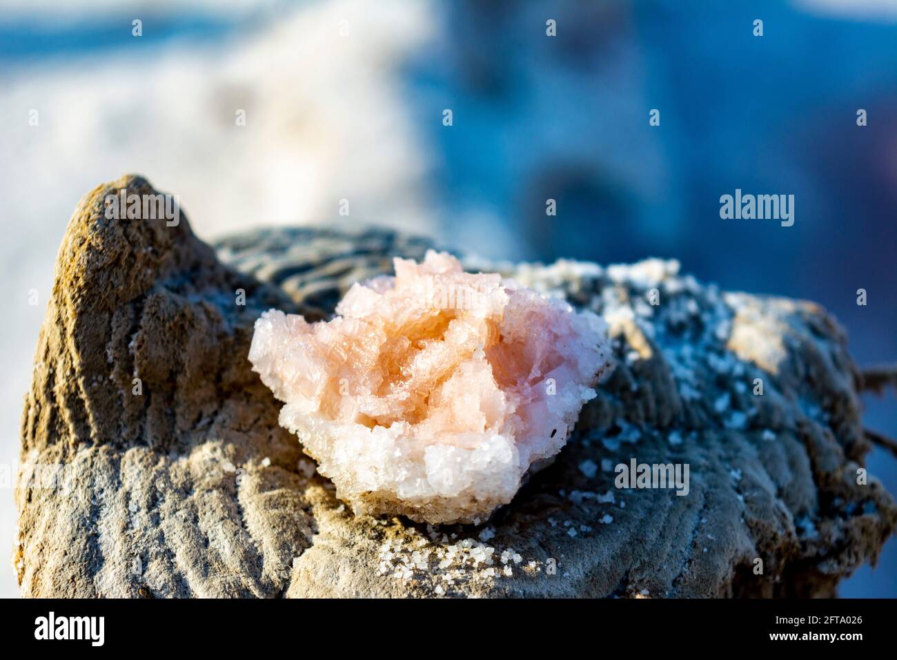 Pink salt patterns hi-res stock photography and images - Alamy