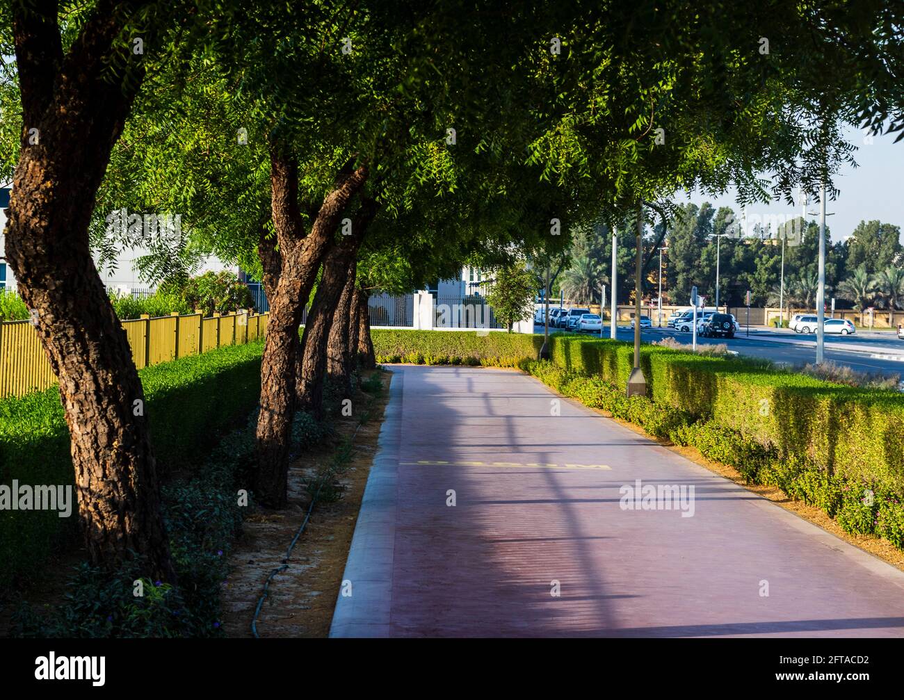 Jogging track in the park early in the morning Stock Photo - Alamy