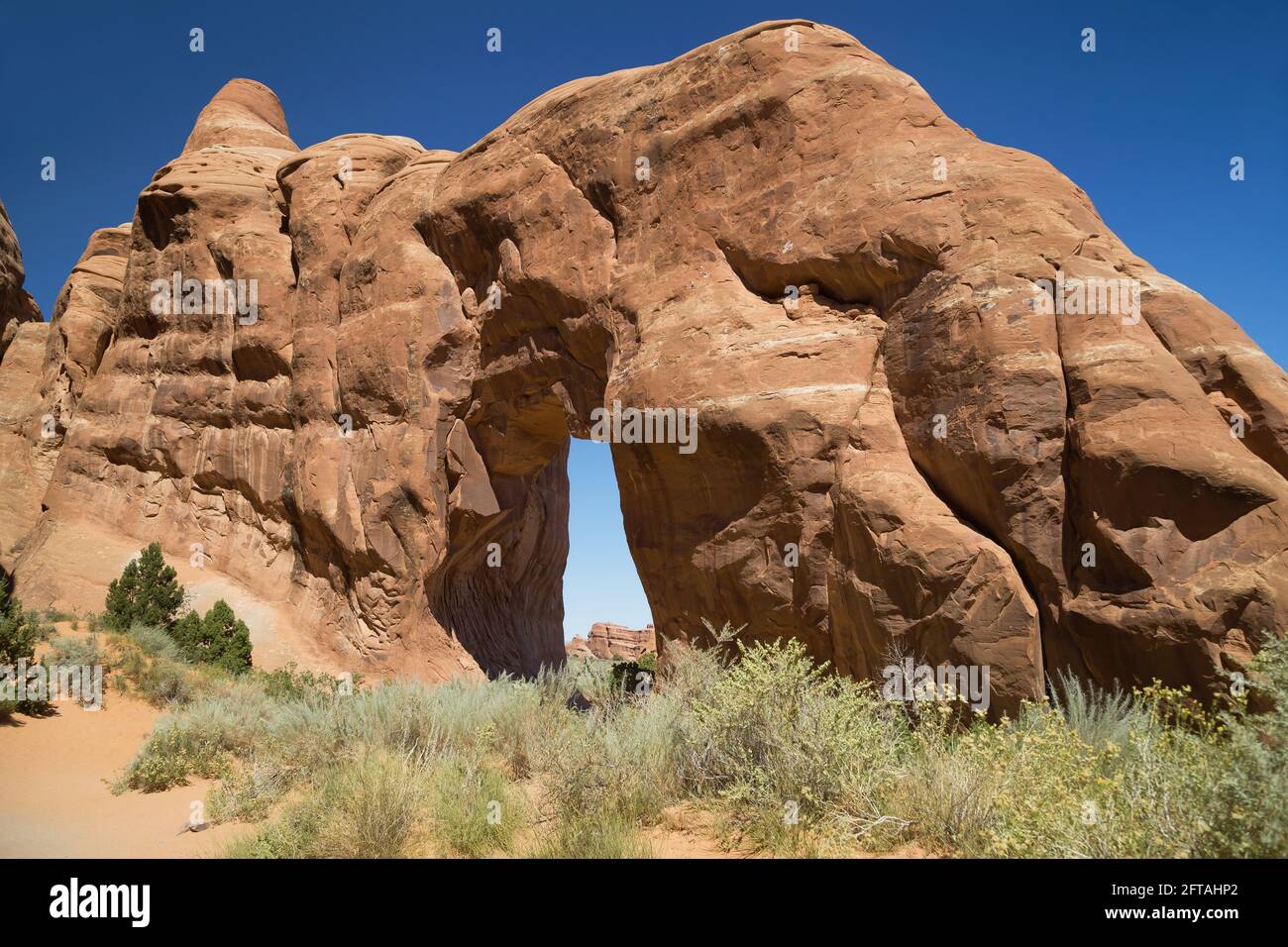 Pine Tree Arch in Arches National Park, Utah, USA Stock Photo - Alamy