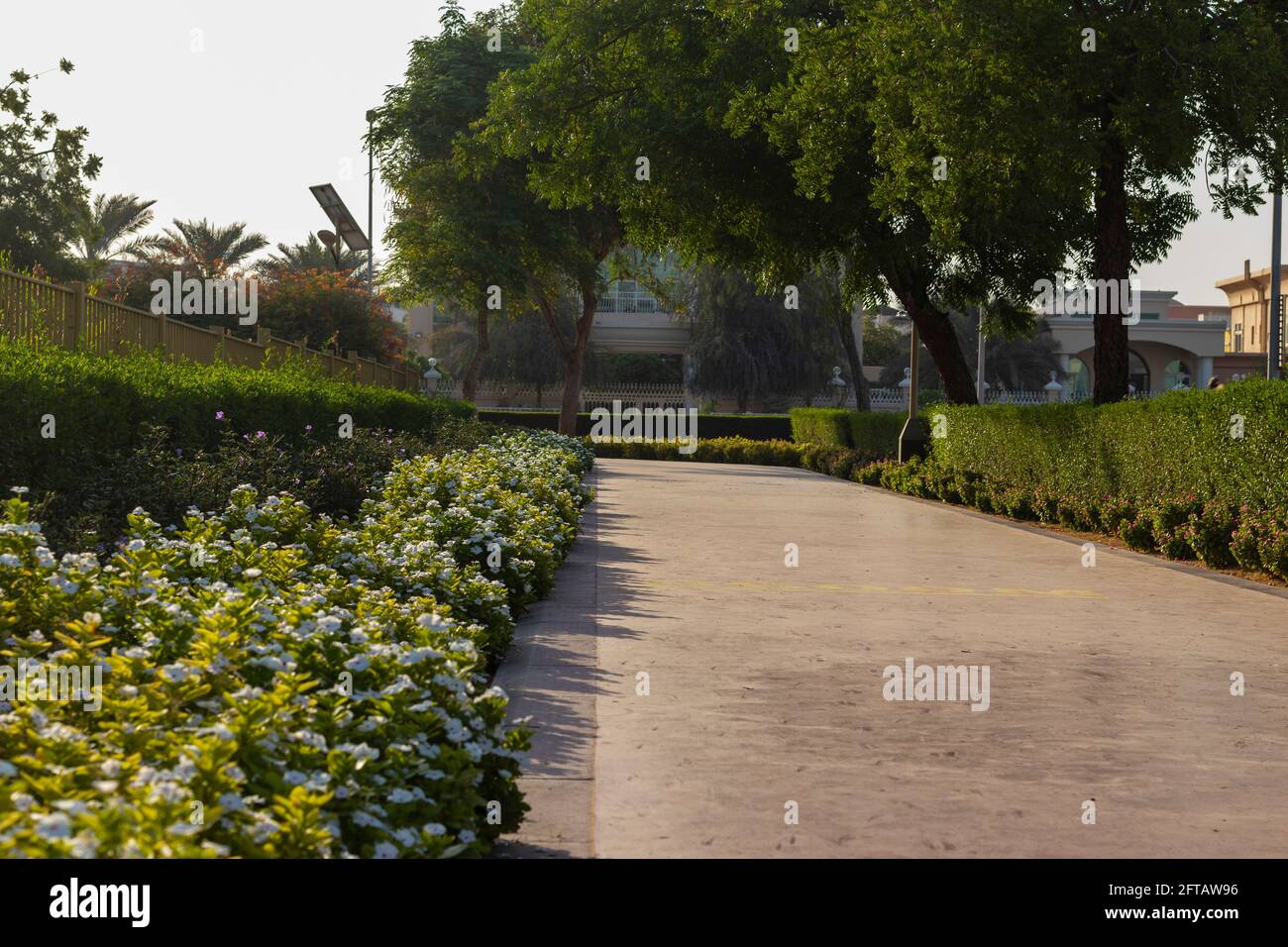 Jogging track in the park early in the morning Stock Photo - Alamy