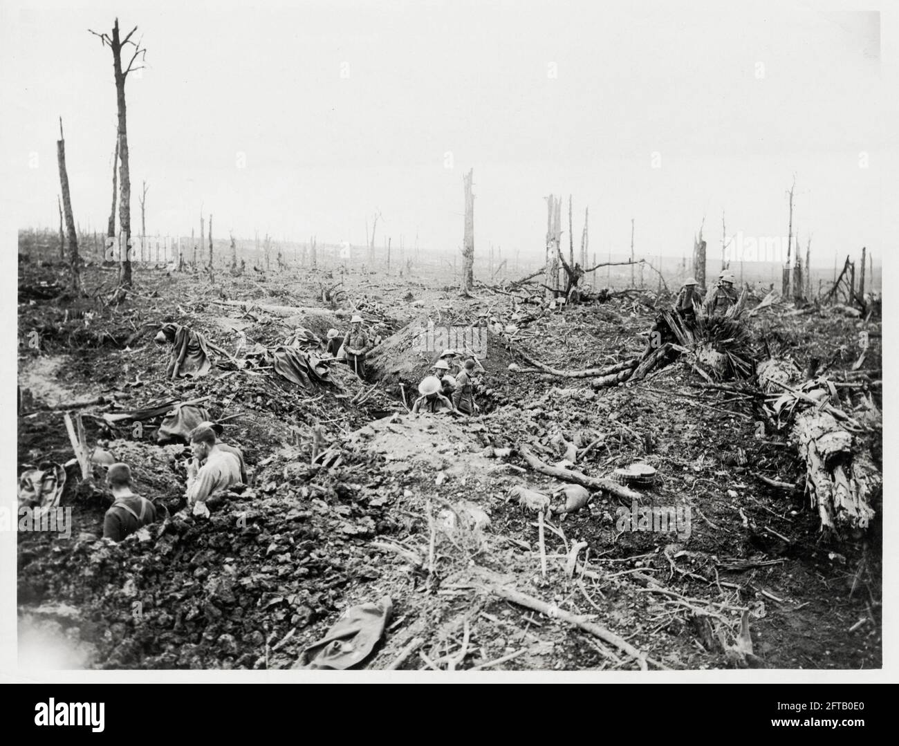 World War One, WWI, Western Front - Digging a communication trench ...