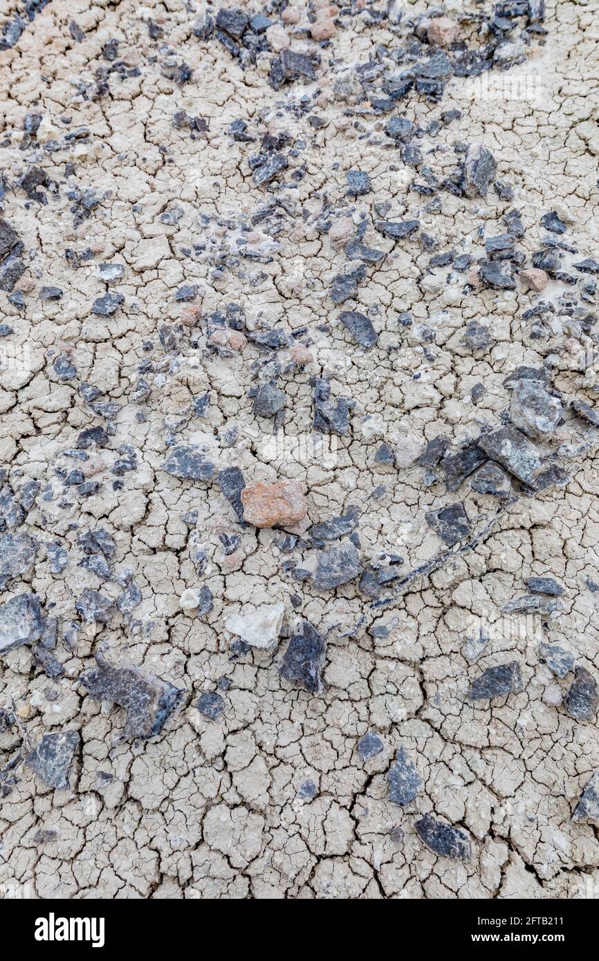 Agates and fossil mammal bones from 34 million years ago in Toadstool ...