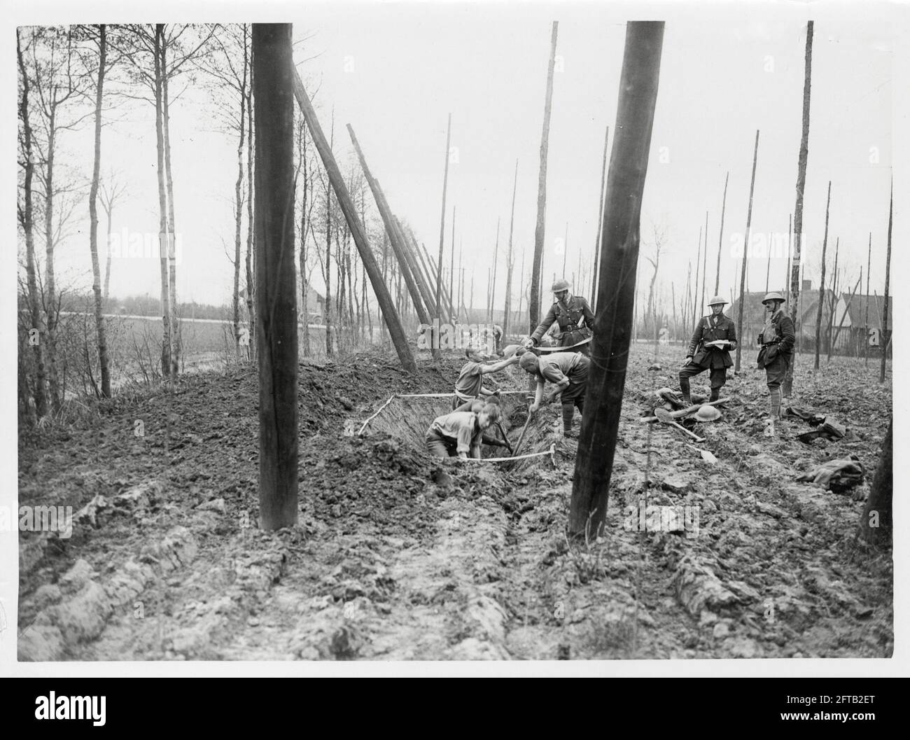 World War One, WWI, Western Front - Troops digging trenches in a hop ...