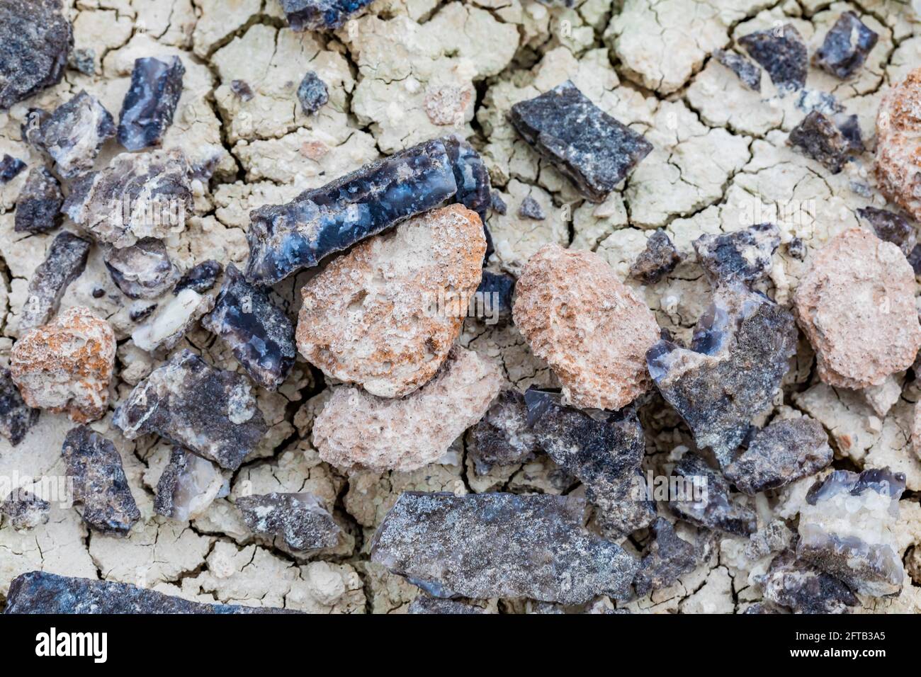 Agates and fossil mammal bones from 34 million years ago in Toadstool ...