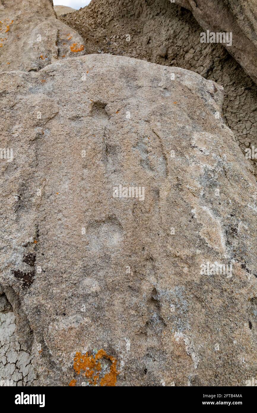 Toadstool Geologic Park, Oglala National Grassland, Nebraska, USA Stock ...