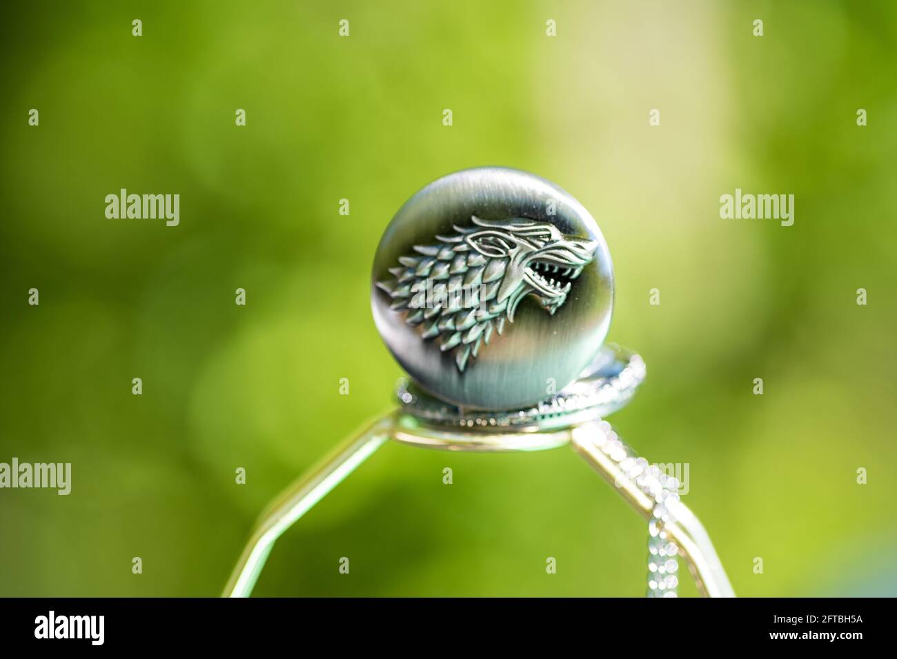 Pocket watch with a wolf head design closeup. Selective Focus Stock ...