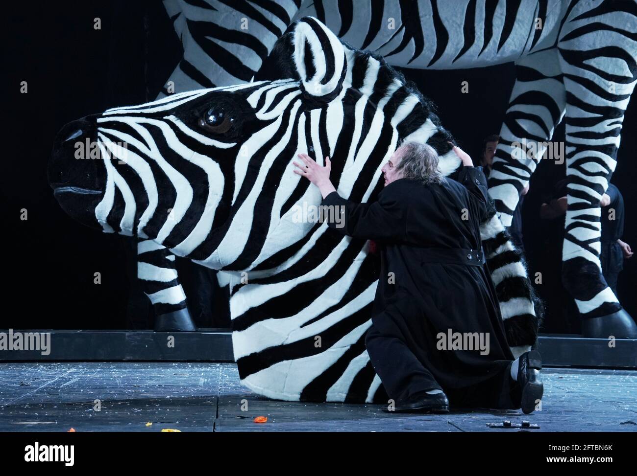 Zebra Stage Makeup