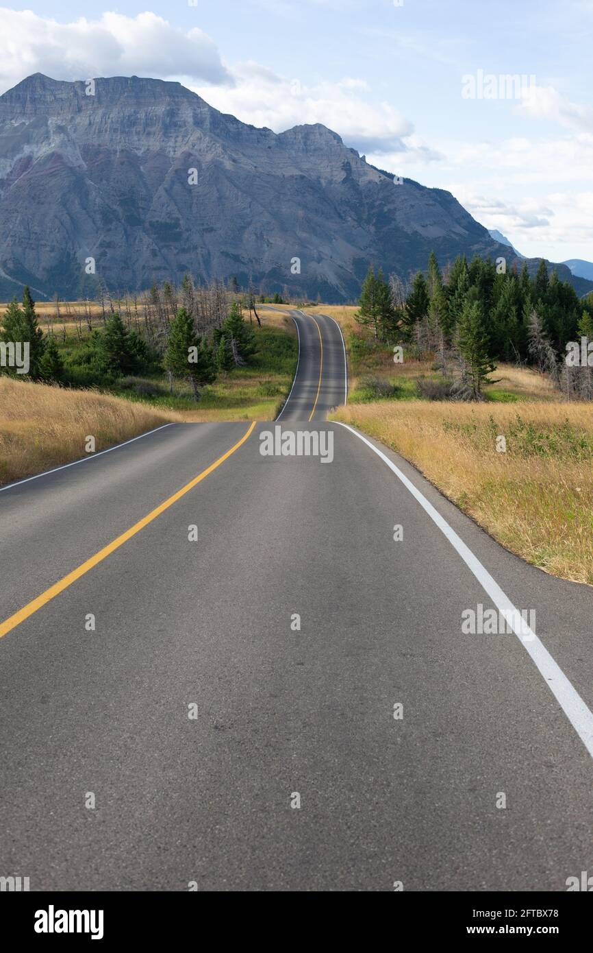 Vertical shot road hi-res stock photography and images - Alamy