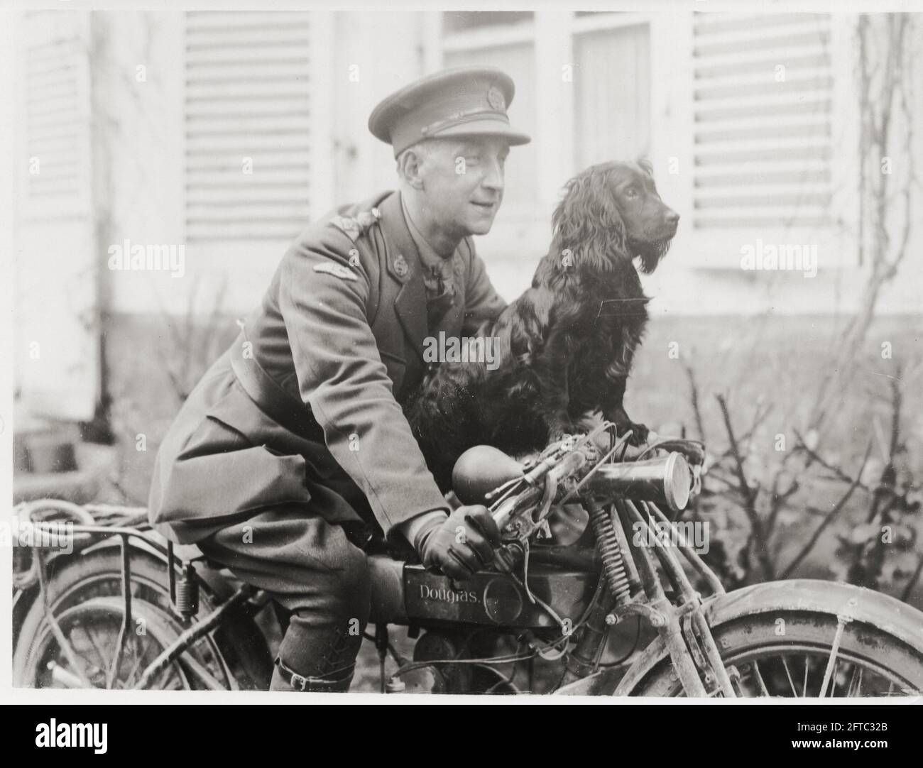World War One, WWI, Western Front - Stunter the dog mascot of the Tank ...