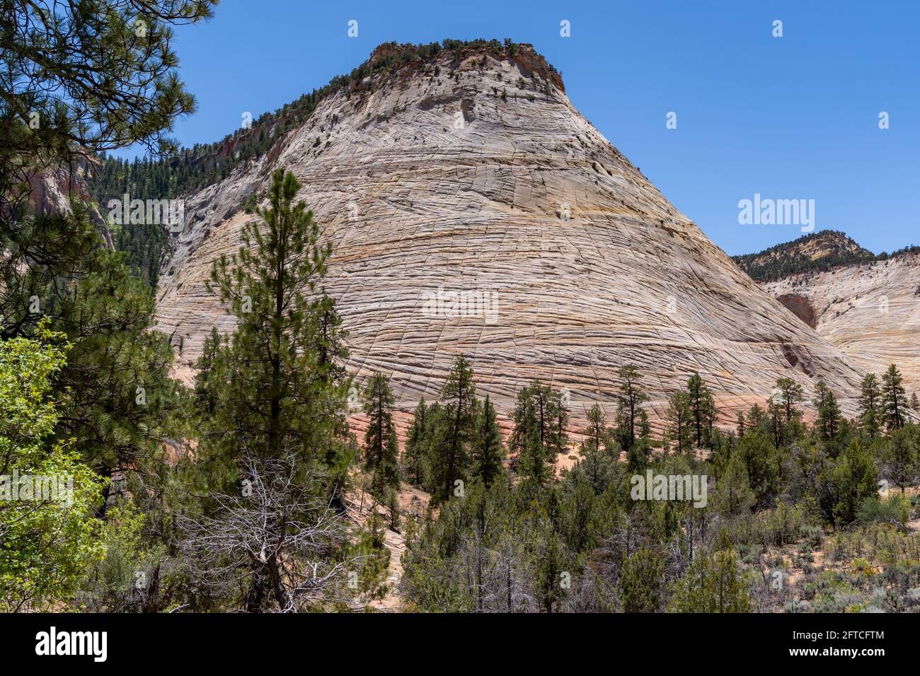 Checkerboard mesa in zion national hi-res stock photography and images ...