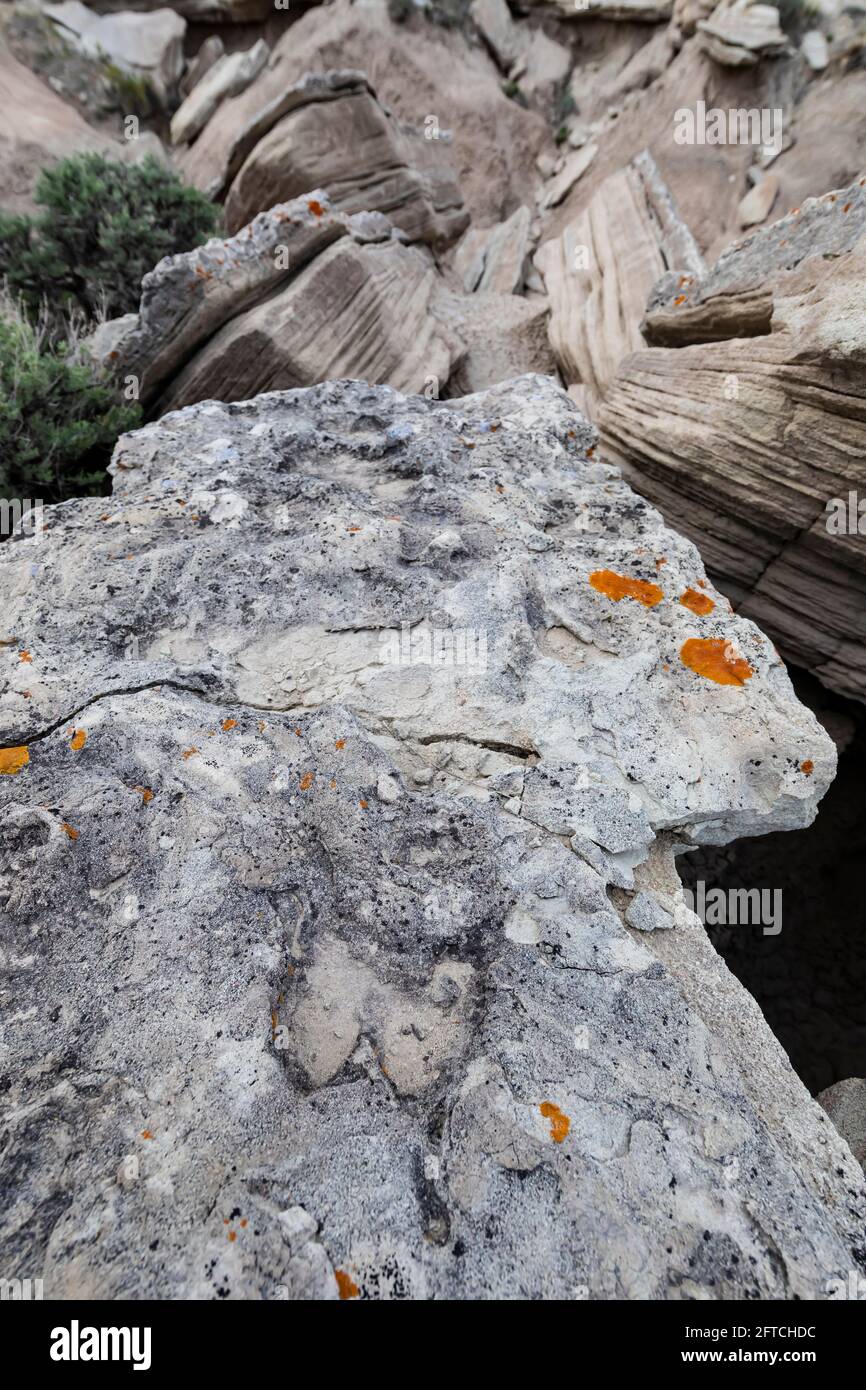 Ancient mammal trackways in sandstone at Toadstool Geologic Park ...