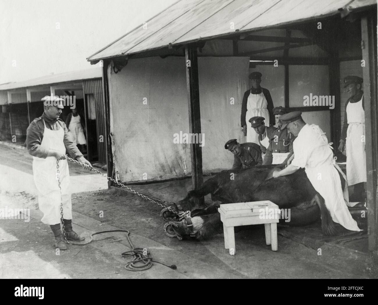 World War One, WWI, Western Front - removing a piece of shrapnel from ...