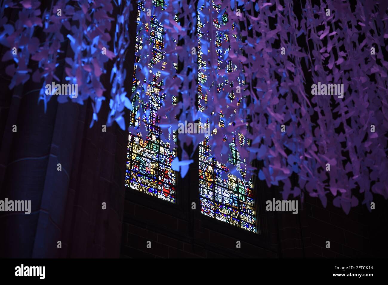 Doves of peace hi-res stock photography and images - Alamy