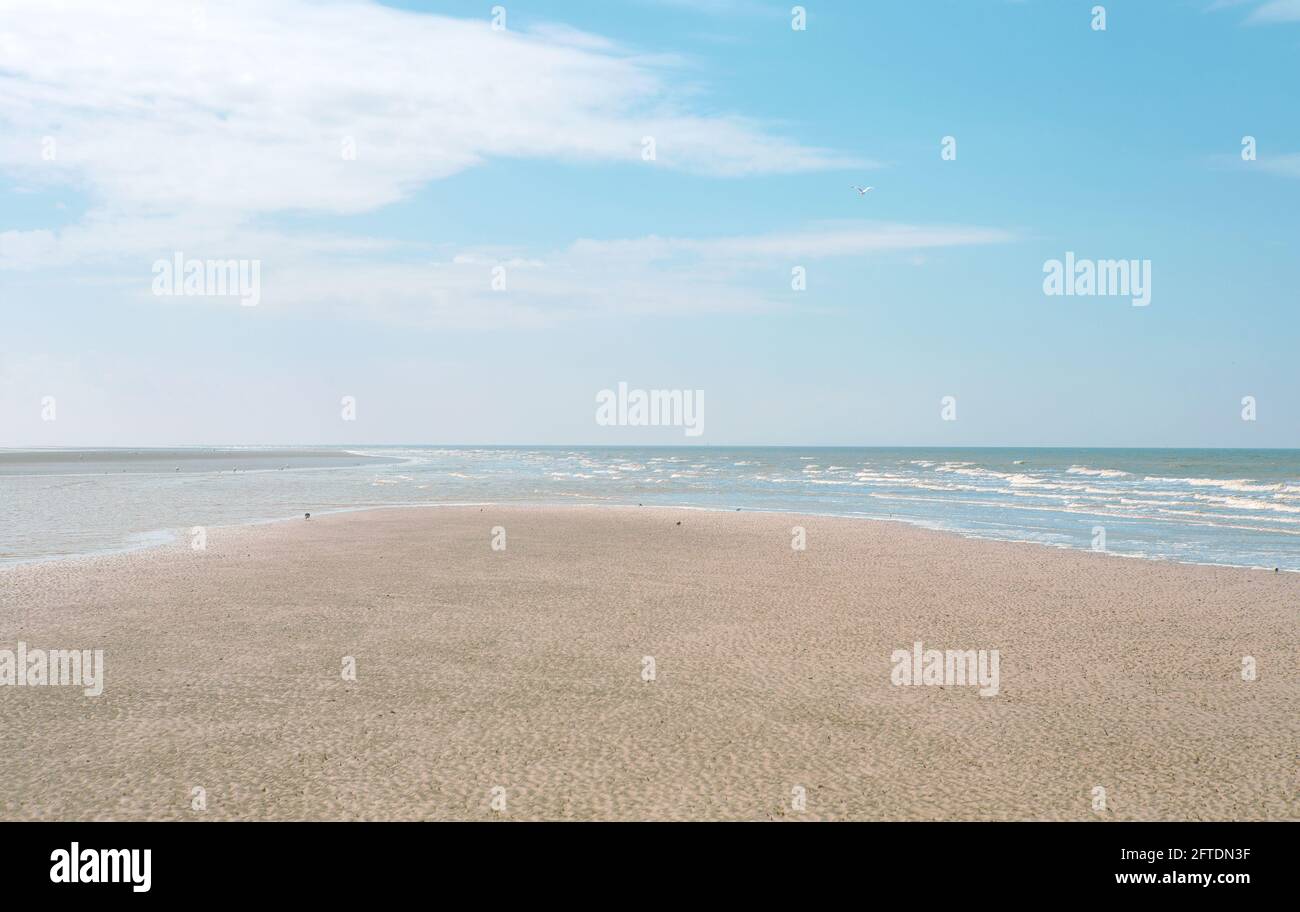 panoramic view of sandy beach and blue sky with soft clouds Stock Photo ...