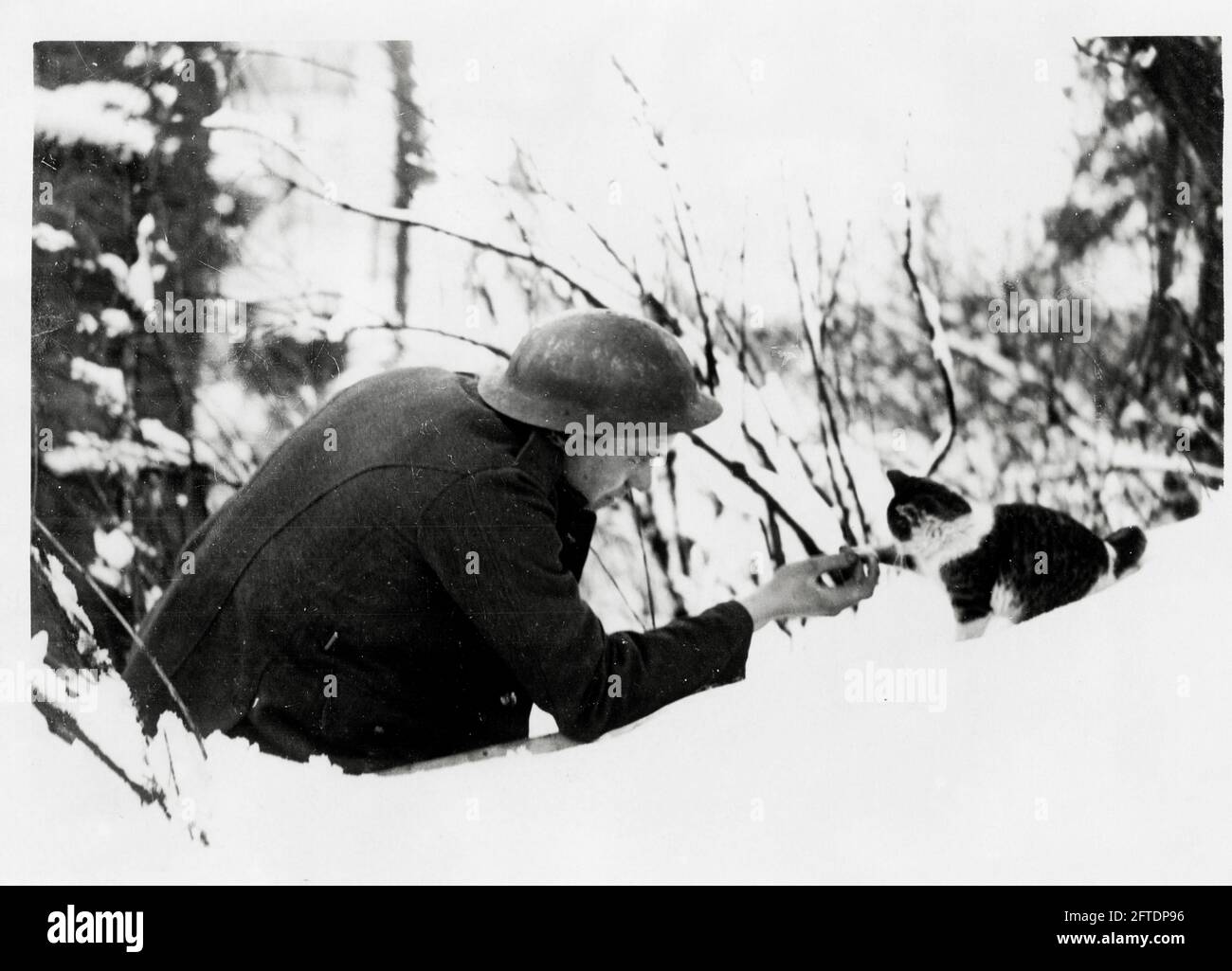 World War One, WWI, Western Front - A British soldier plays with his ...