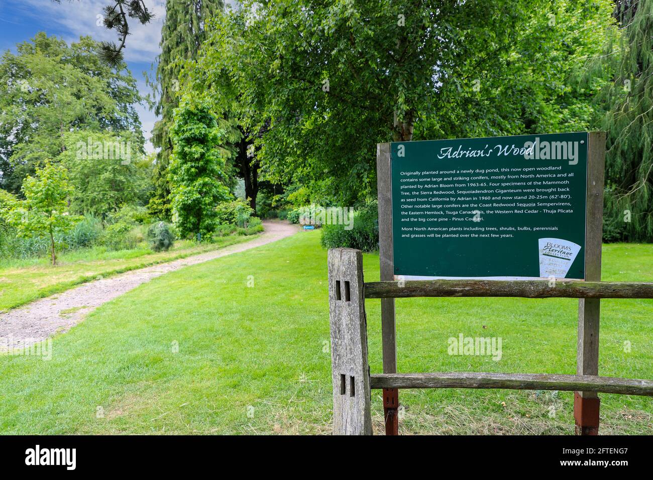 Adrian's Wood, Bressingham Gardens, a steam museum and gardens located ...
