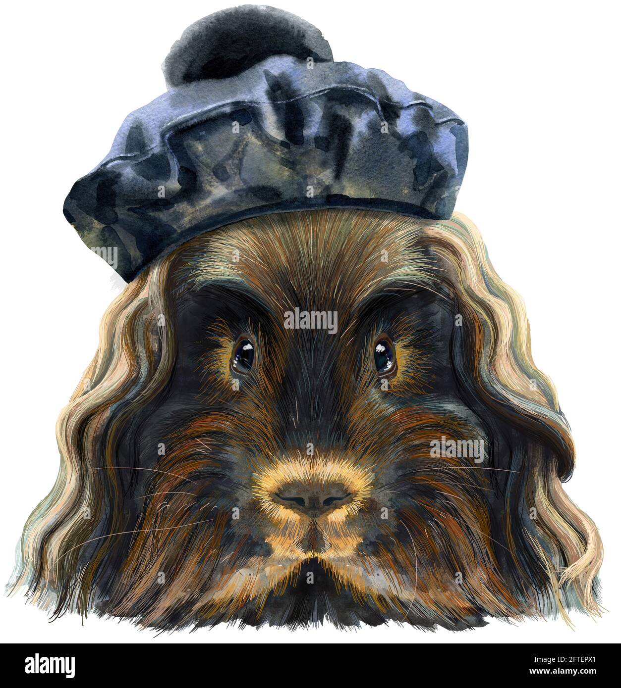 Cute cavy in black beret with pom-pom. Guinea pig for t-shirt graphics ...