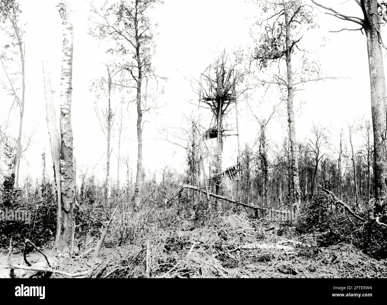 World War One, WWI, Western Front - German look-out post, Mametz Wood ...