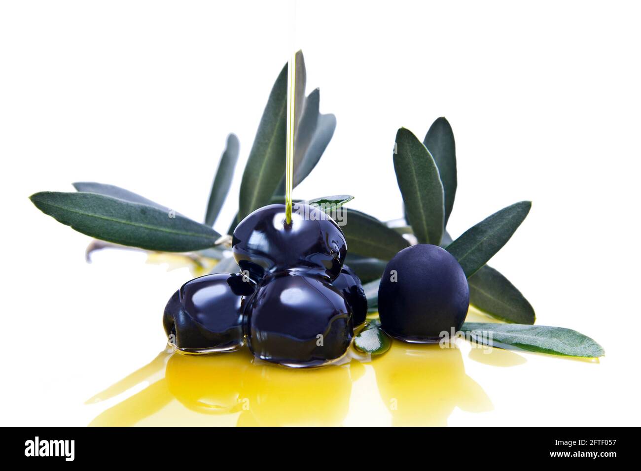 fresh olives on the olive branch isolated on white background Stock ...