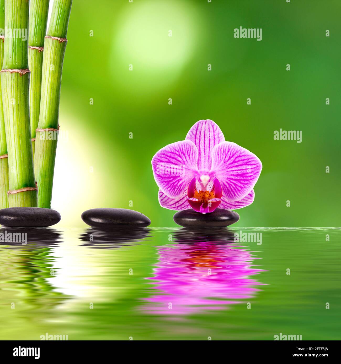 Spa styles hi-res stock photography and images - Alamy
